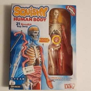 Smart Lab | Toys | 3 Squishy Human Body Educational Game | Poshmark